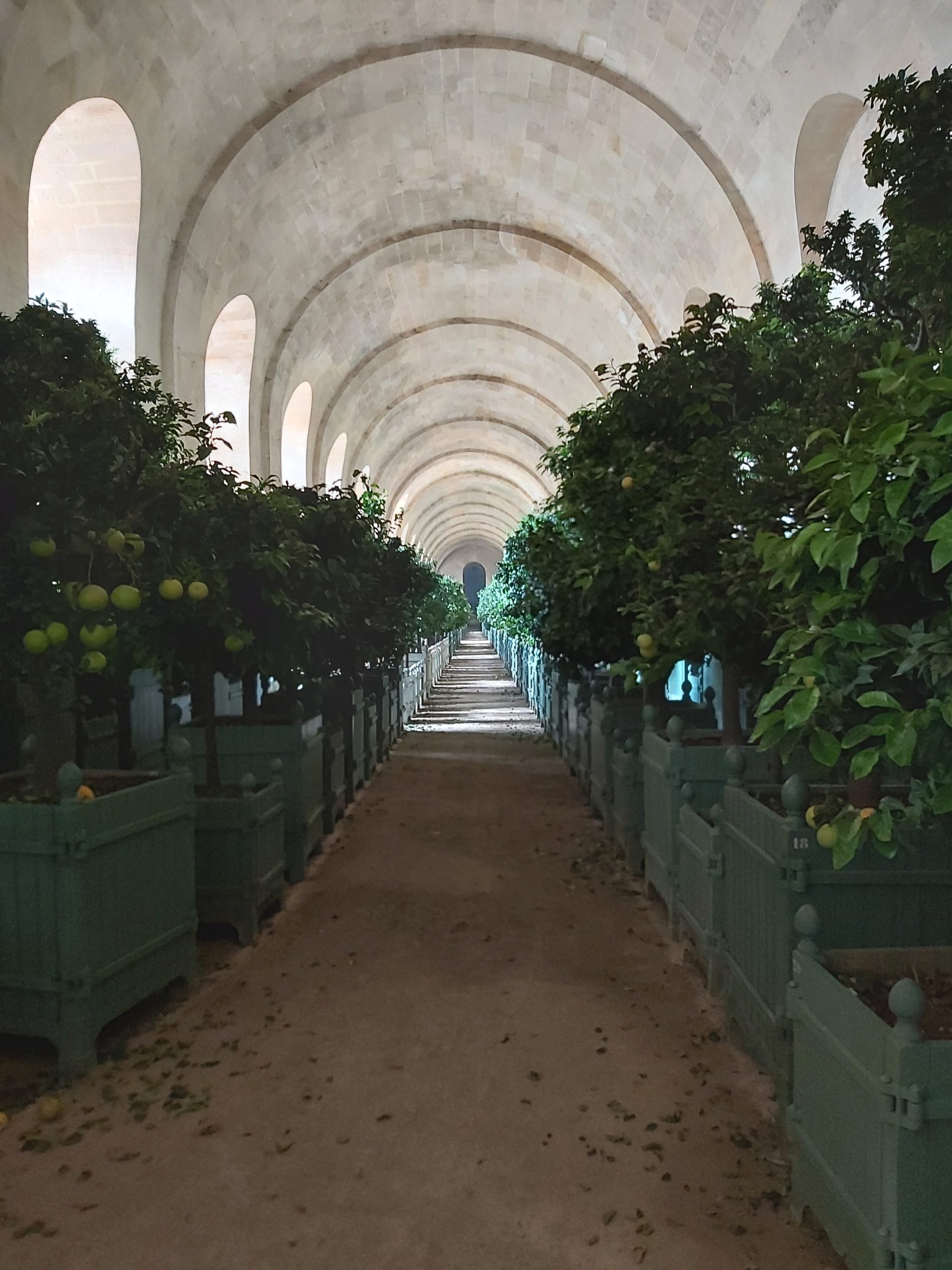 Promenade printanière sous les voûtes de l'Orangerie du château de ...